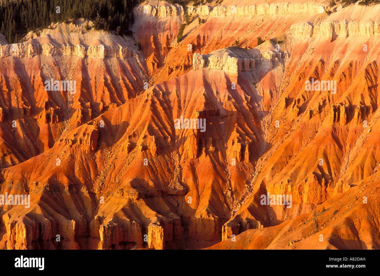 Afternoon light the Cedar Breaks Amphitheater from Point Supreme Cedar ...