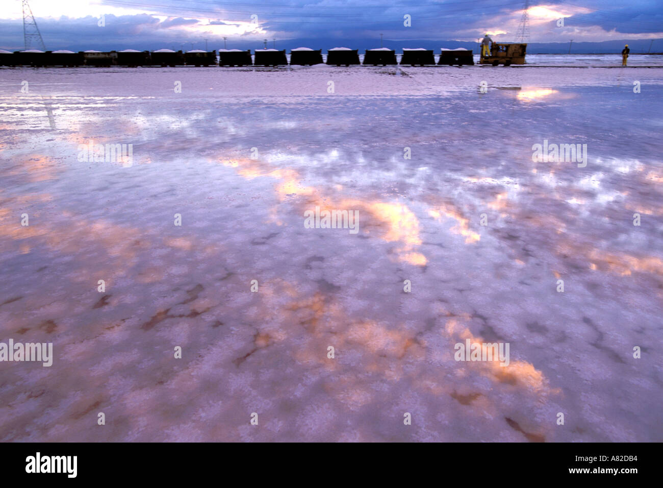 Cargill Salt San Francisco Bay