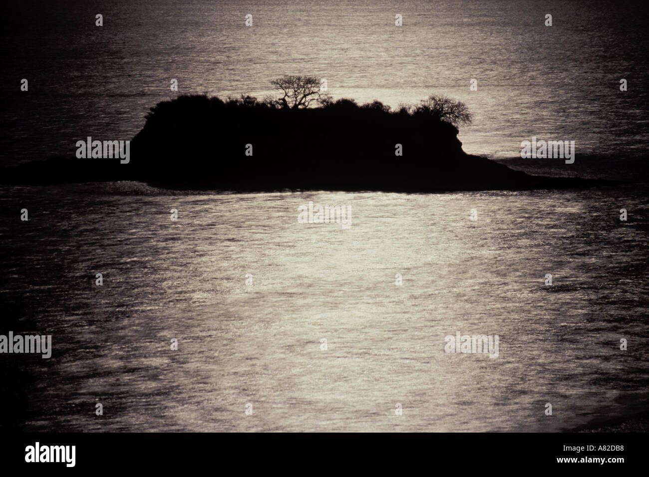 California, San Francisco Bay, San Rafael, Rat Island in moonlight ...