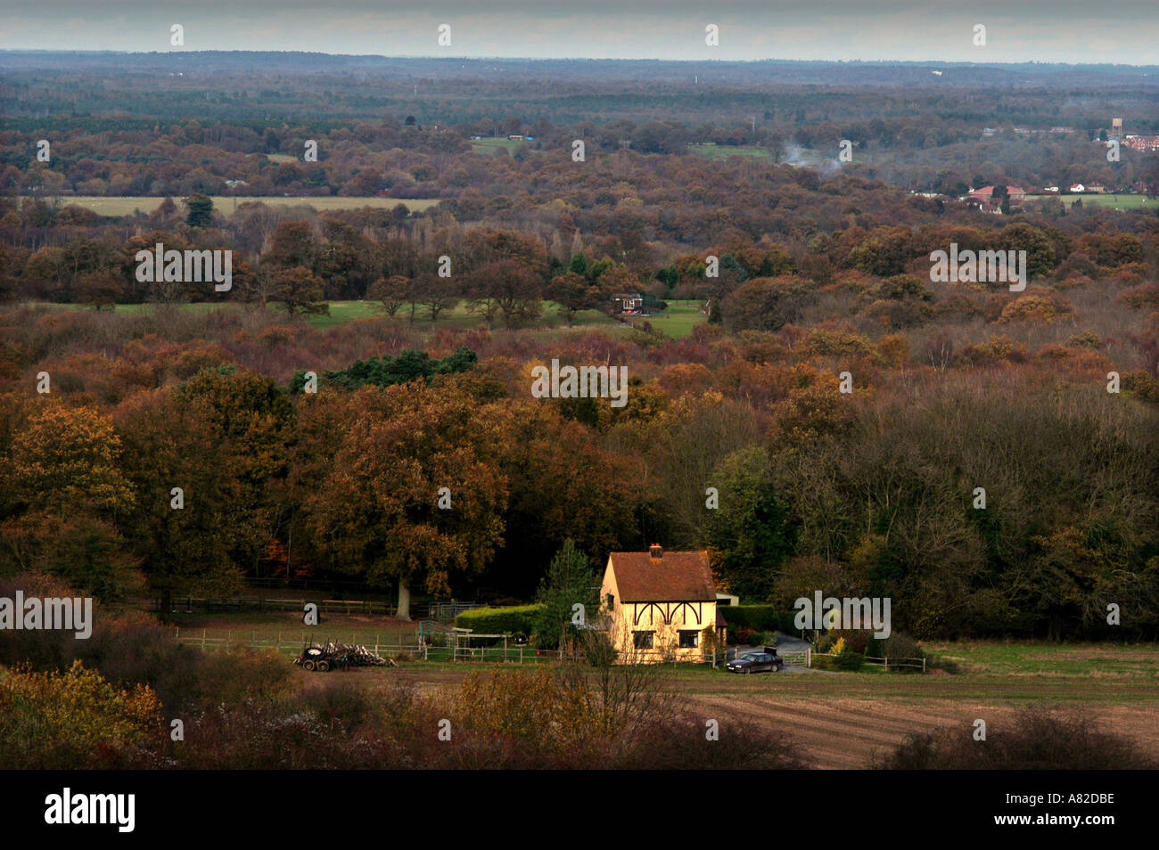 Surrey landscape hi-res stock photography and images - Alamy