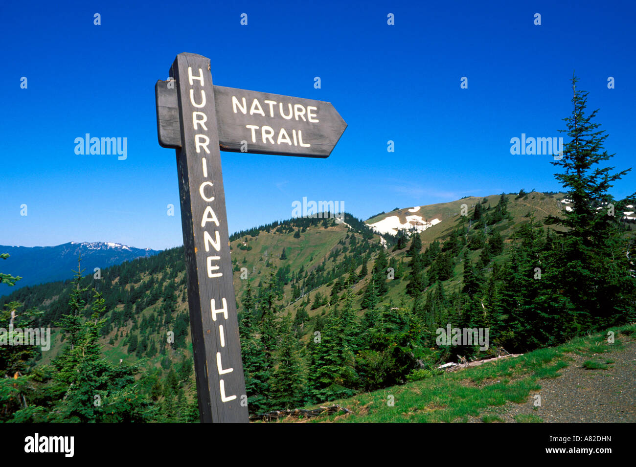 Trail sign at the start of the Hurricane Hill trail Hurricane Ridge ...