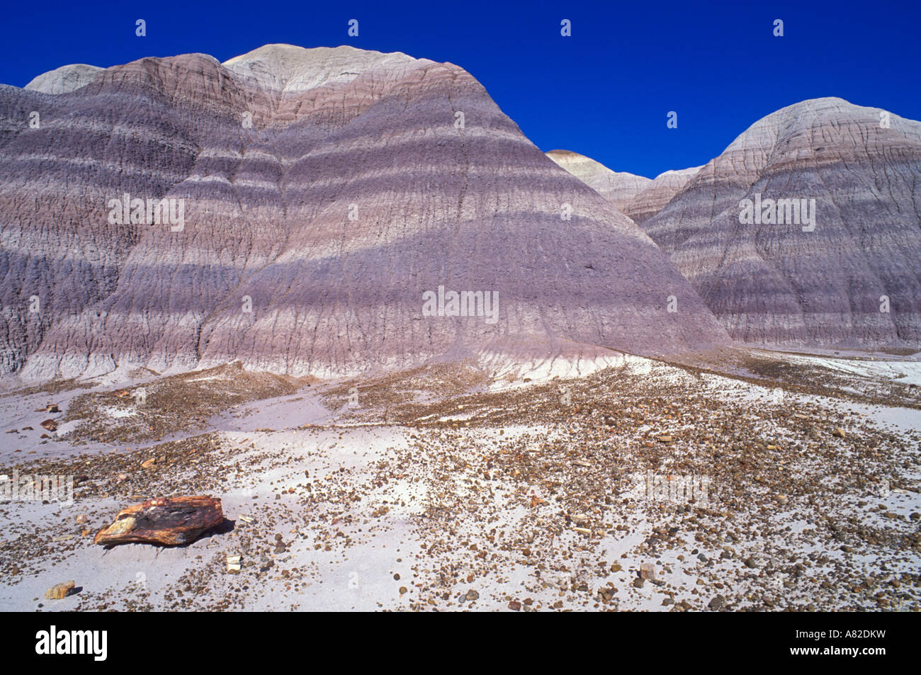 Sedimentary log hi-res stock photography and images - Alamy