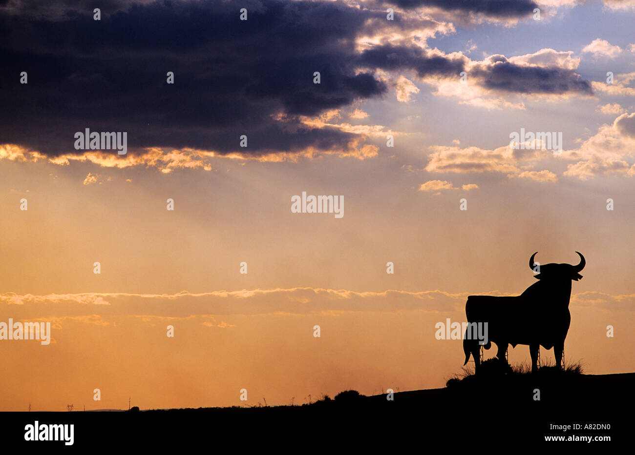 Spain, Andalousia, Sevilla area, EL Toro Osborne, the symbol of the ...
