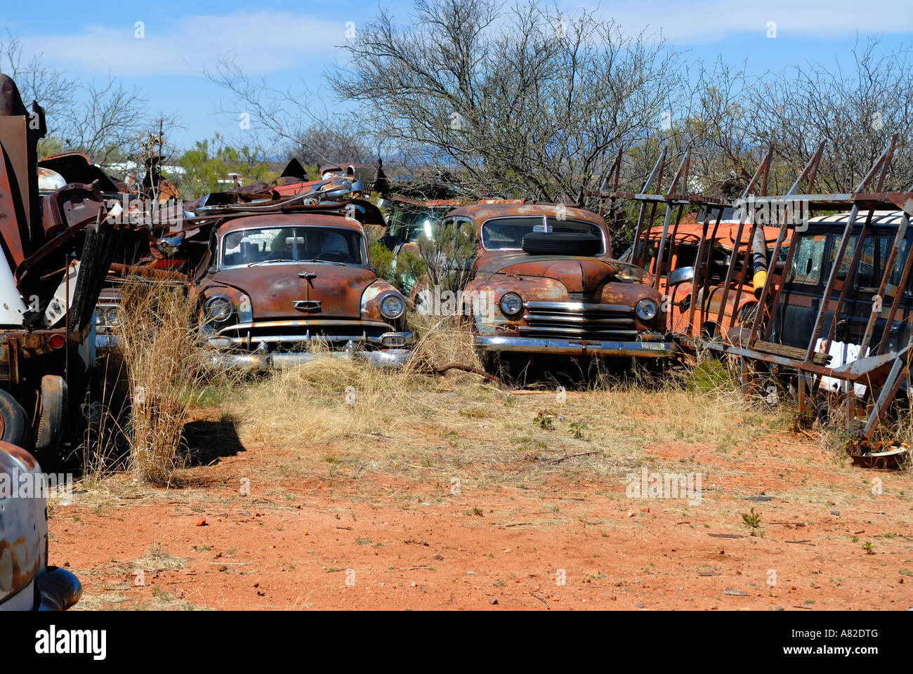 2 old sedans sit together rusting in a desert junkyard Stock Photo - Alamy