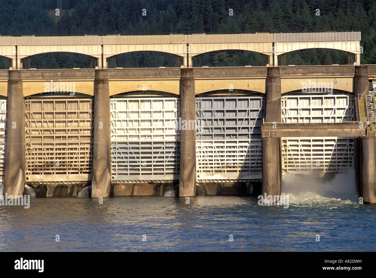 Afternoon light on the spillway at the Bonneville Dam Columbia River ...