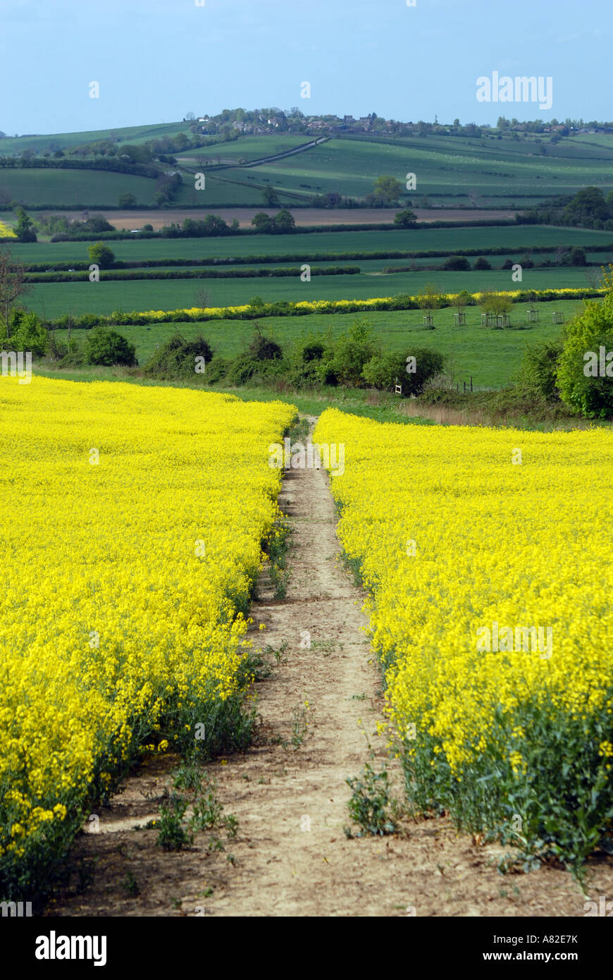 Path through Field Stock Photo - Alamy Path through Field Stock Photo - Alamy