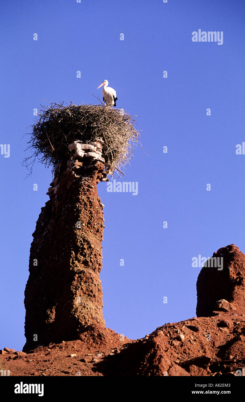 Morocco, Upper Atlas region Stock Photo - Alamy