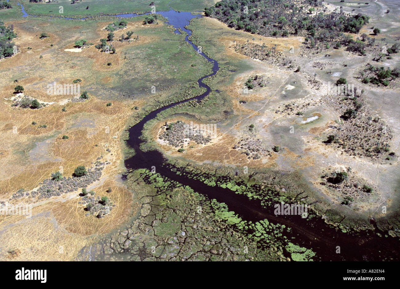 Botswana, Okavango delta in the dry season (aerial view Stock Photo - Alamy