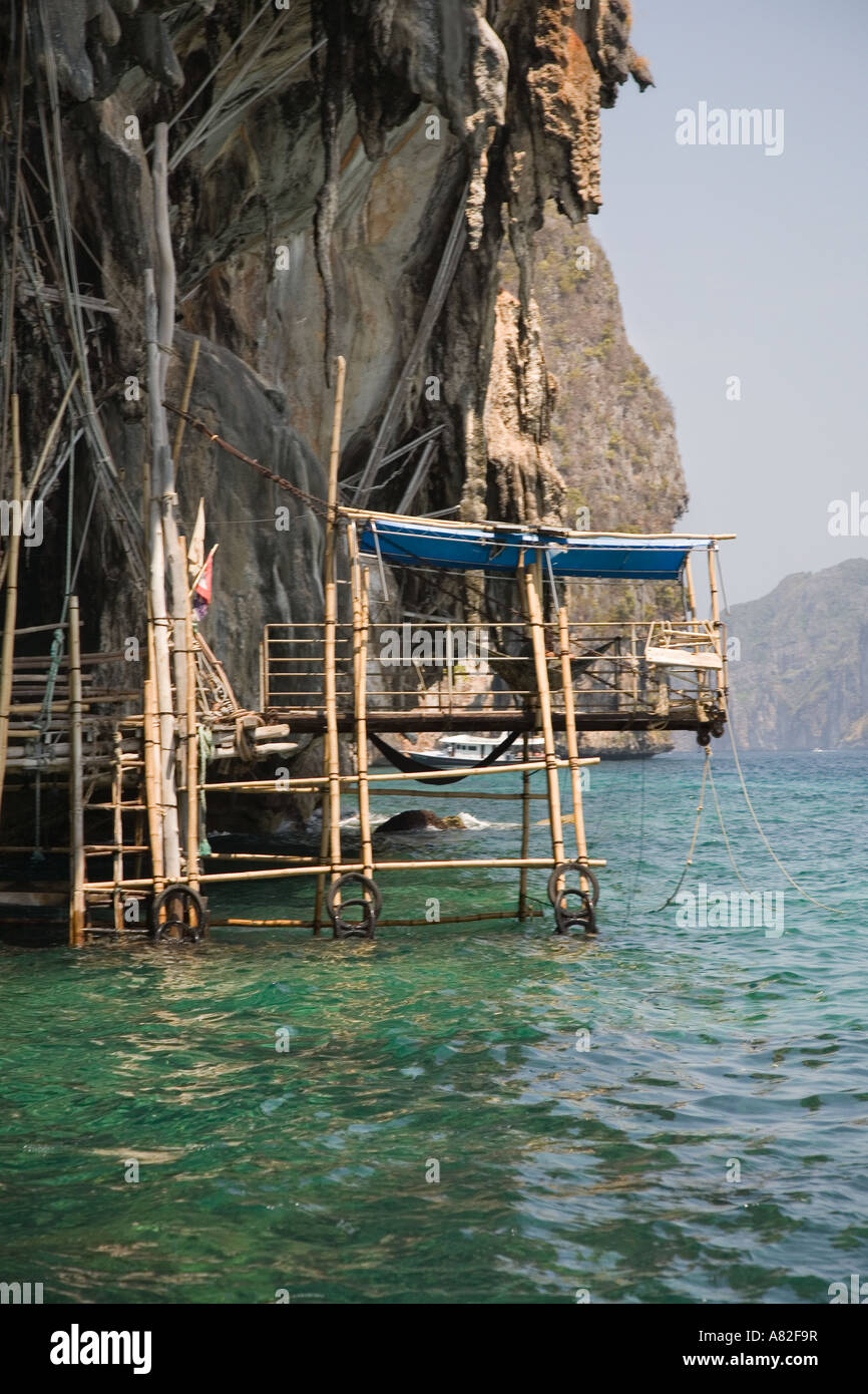 Caves edible nest swiftlet hi-res stock photography and images - Alamy