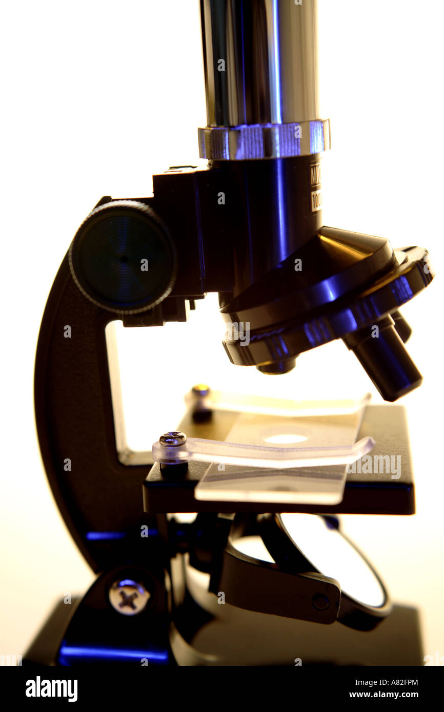 Microscope on white background Stock Photo - Alamy