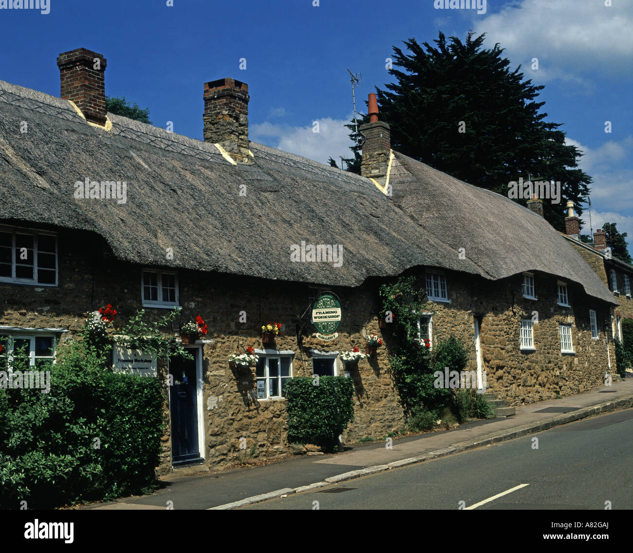 Thatched cottages in Abbotsbury, Dorset Stock Photo - Alamy