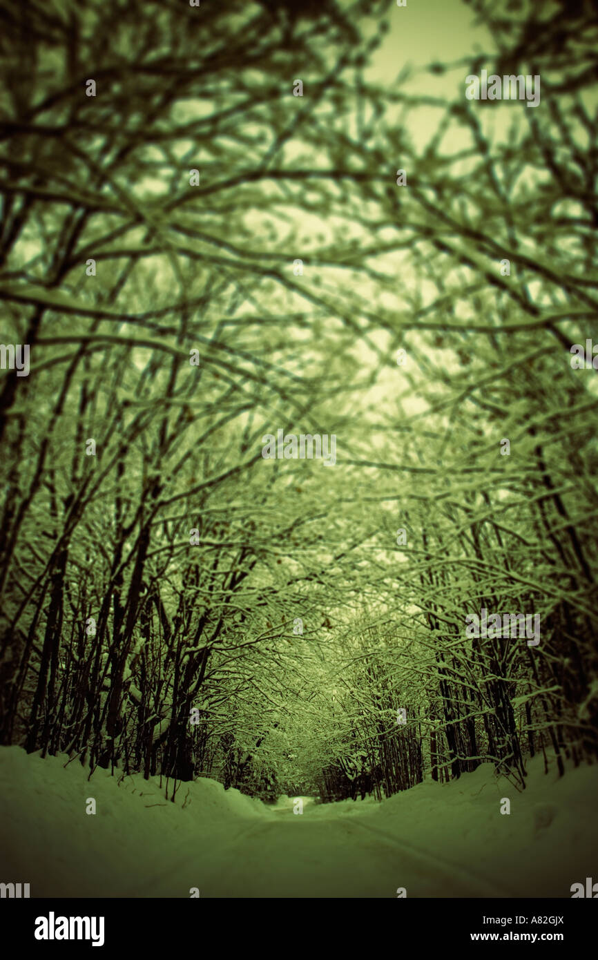 a country road covered with snow in the laurentians Quebec Stock Photo ...