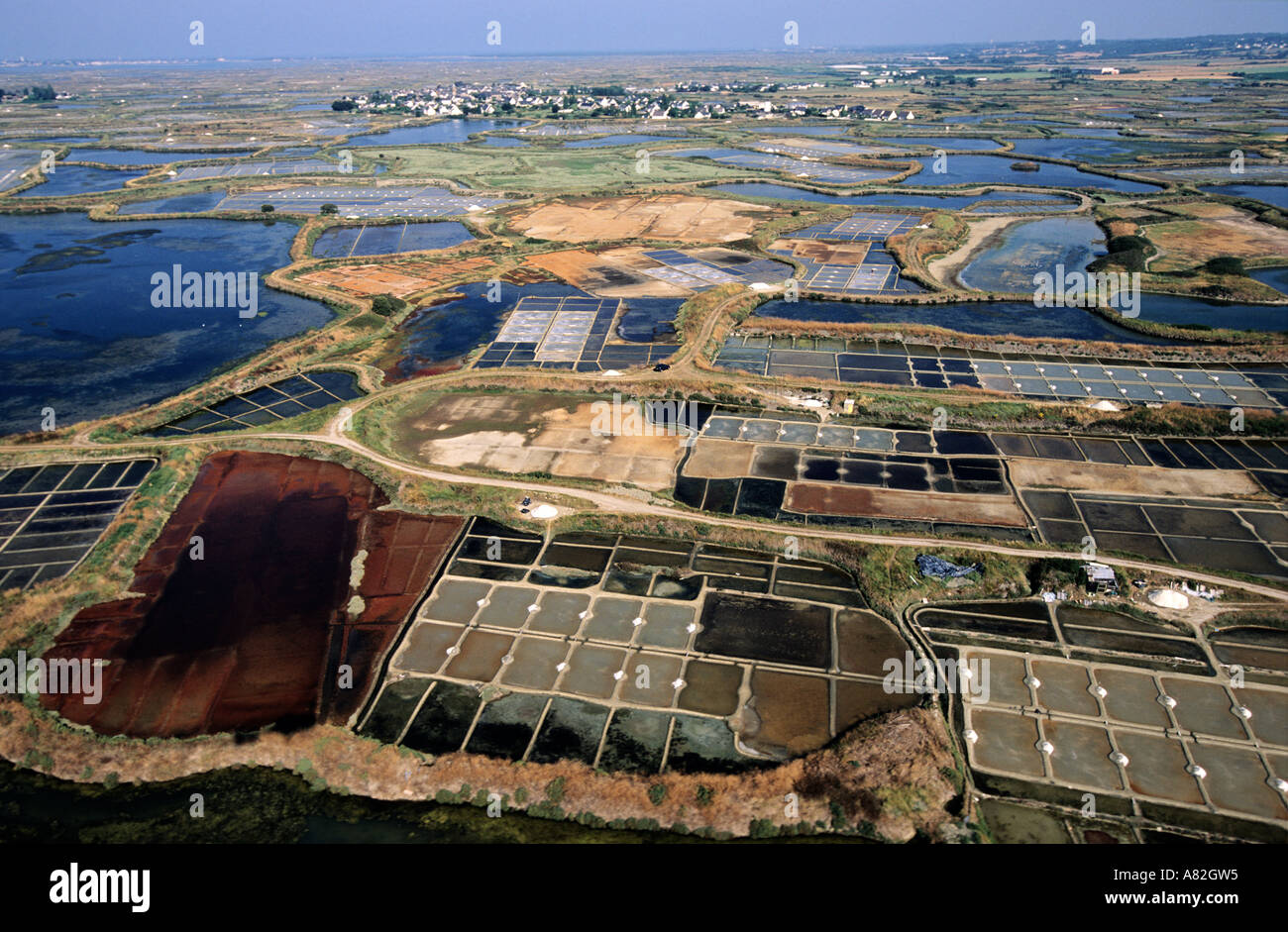 France, Loire-Atlantique (aerial view) of the SALT MARSHES (SAILLE ...