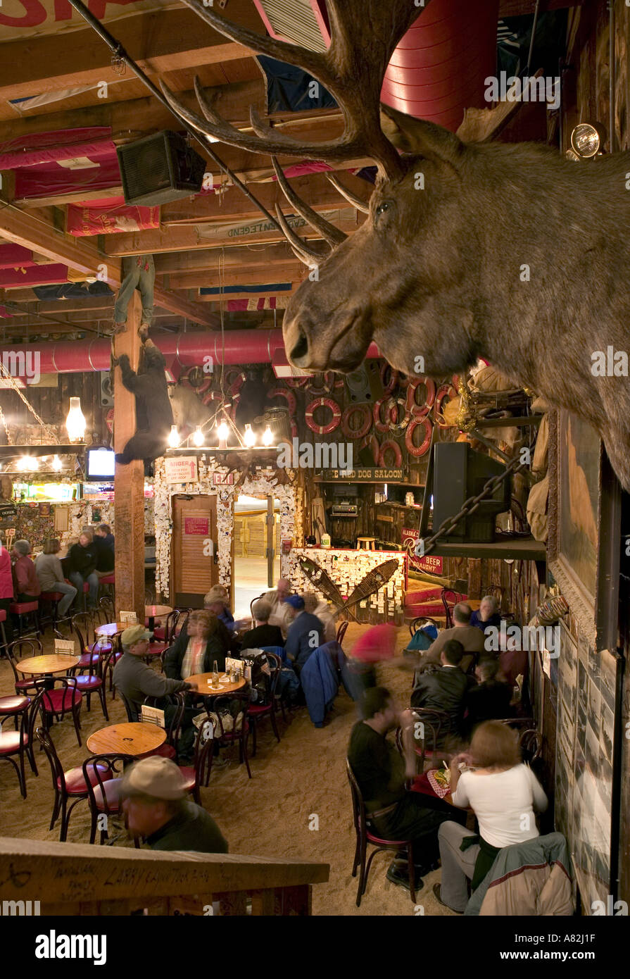 Red Dog Saloon, Juneau, Alaska, USA Stock Photo - Alamy
