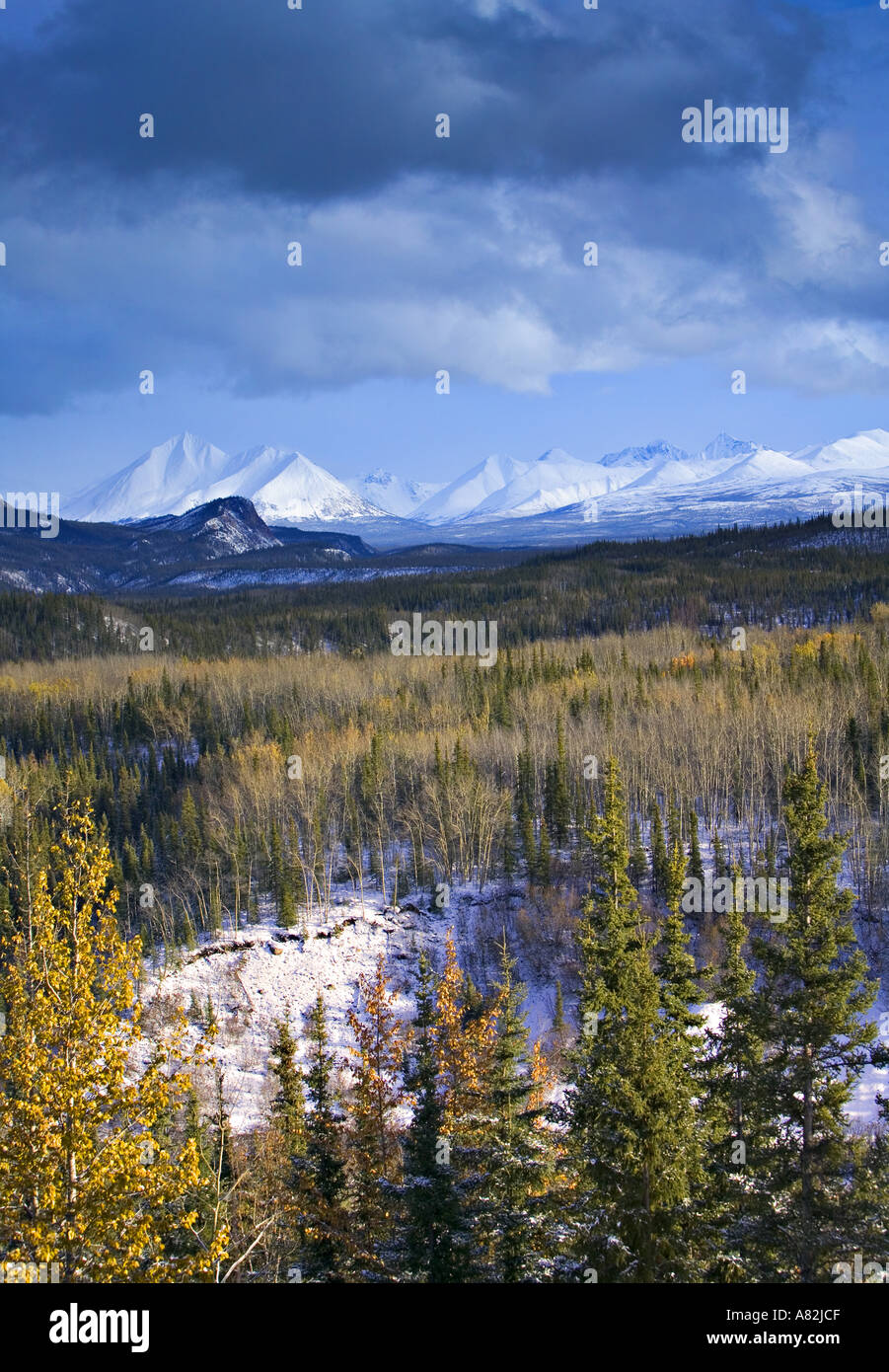 Alaska Range, Mckinley Park, Denali NP, Alaska, USA Stock Photo - Alamy