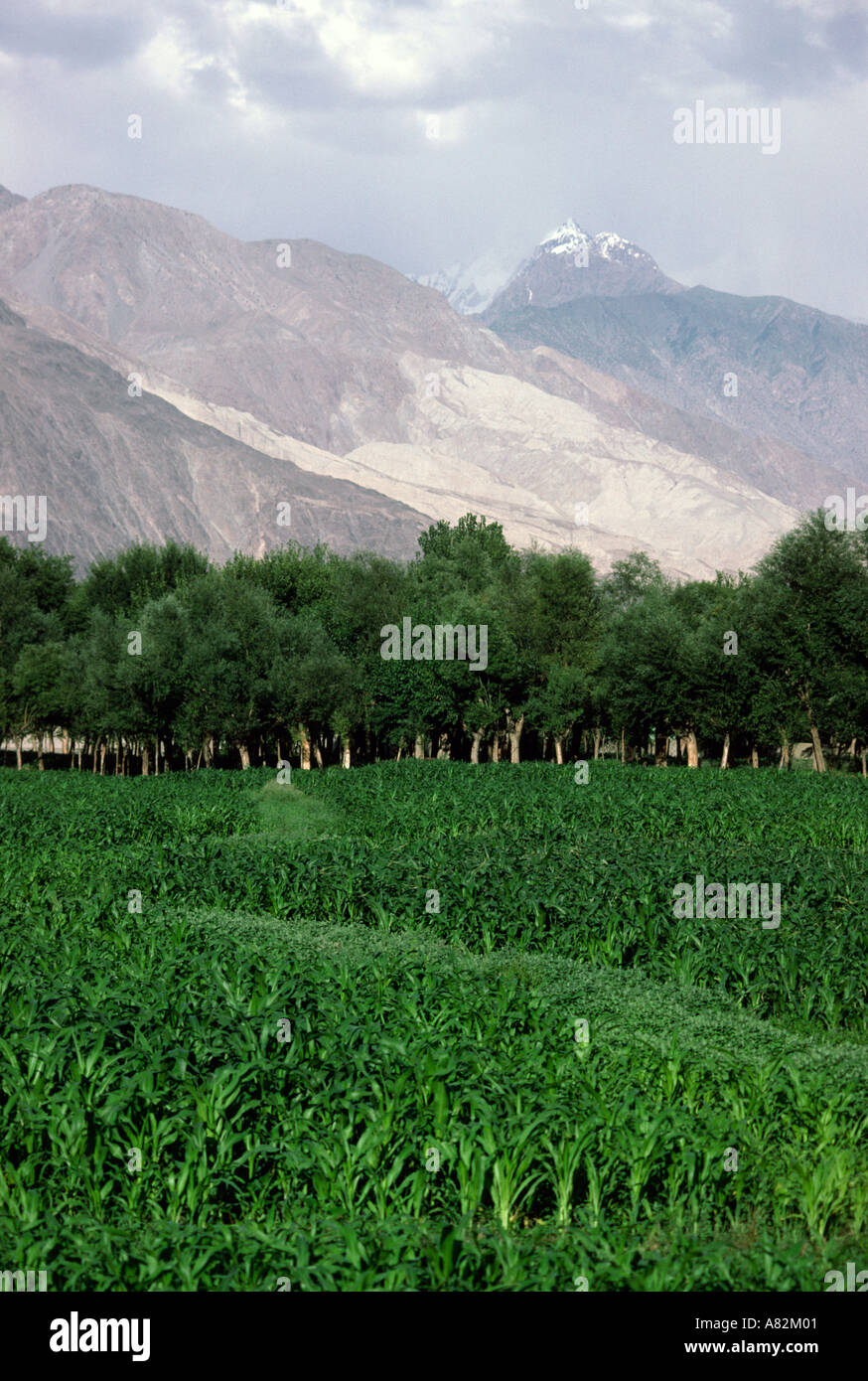 Pakistan azad kashmir gilgit karakoram hi-res stock photography and ...