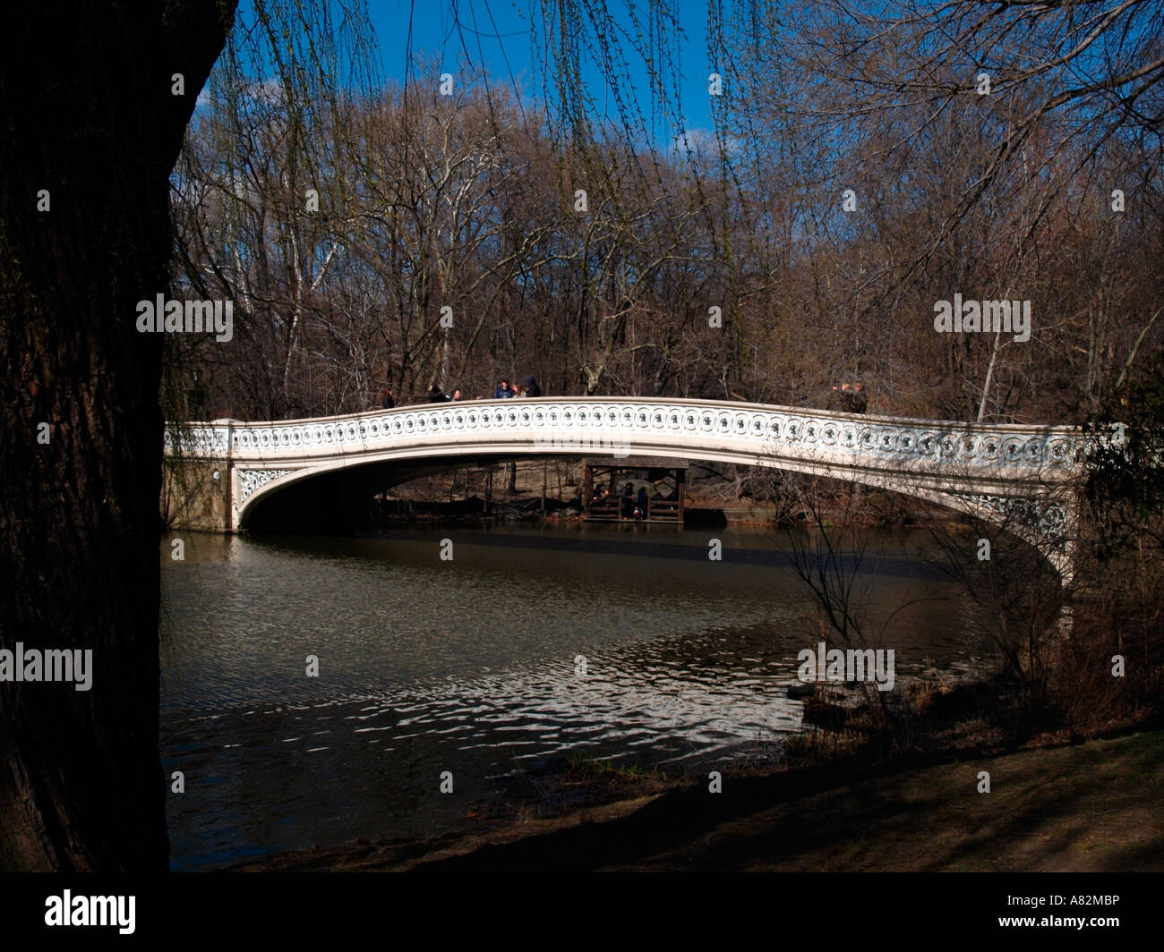 The bow bridge in Central Park New York Stock Photo - Alamy