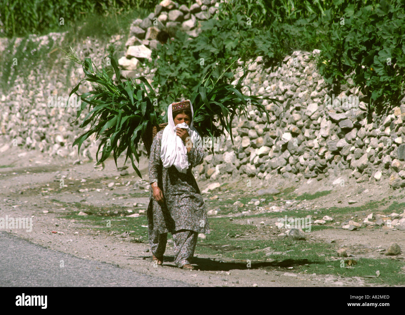 Pakistan Hunza Valley Karimabad Hunza woman carrying heavy load of ...