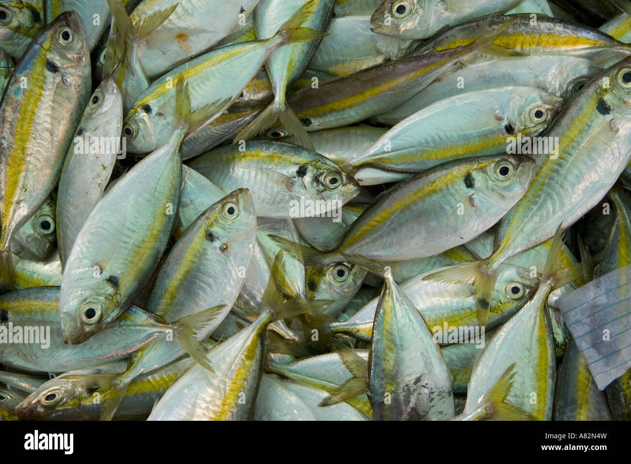 Cha-am Fishing Village Thailand February Stock Photo - Alamy