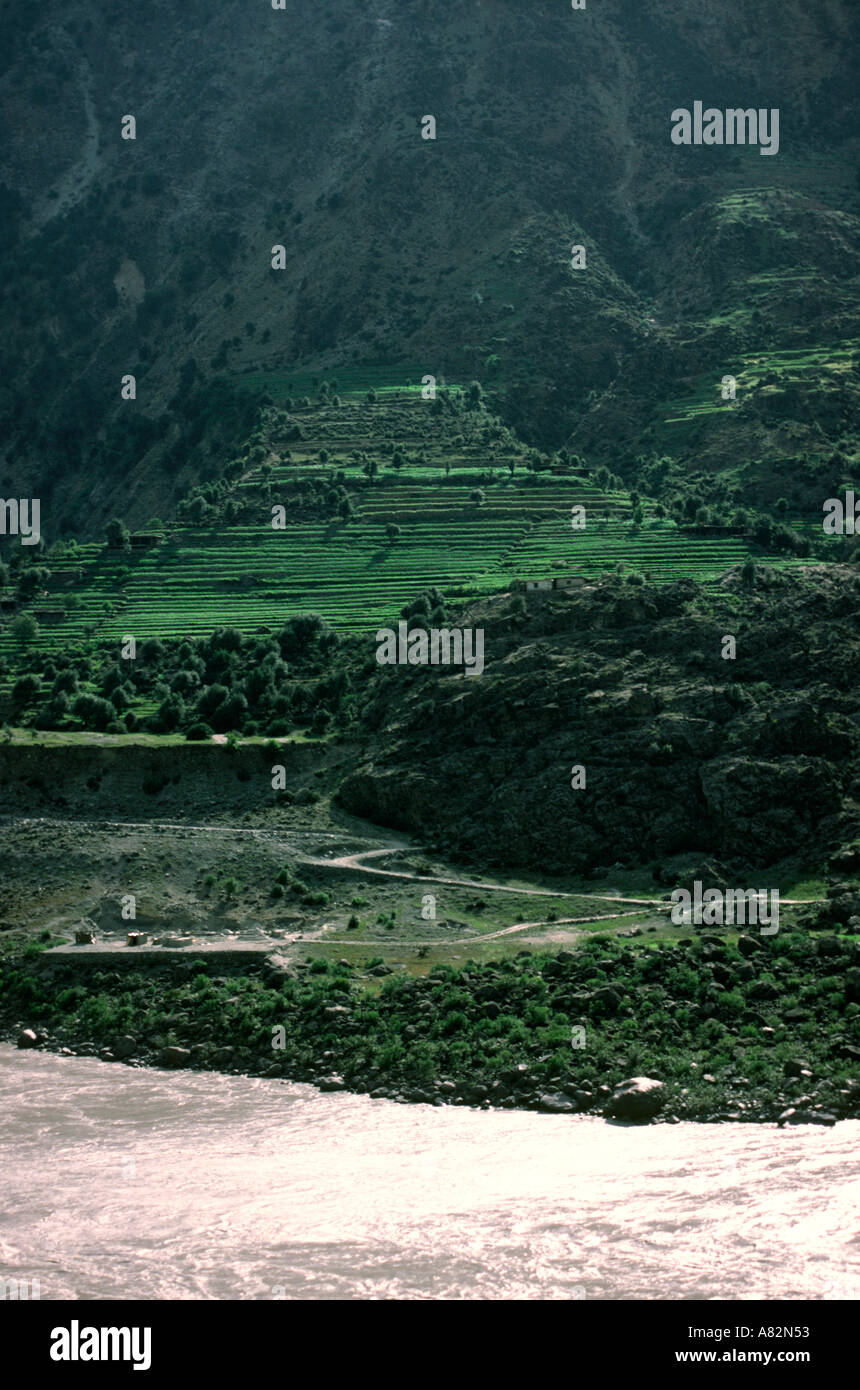 Indus valley of pakistan farming hi-res stock photography and images ...