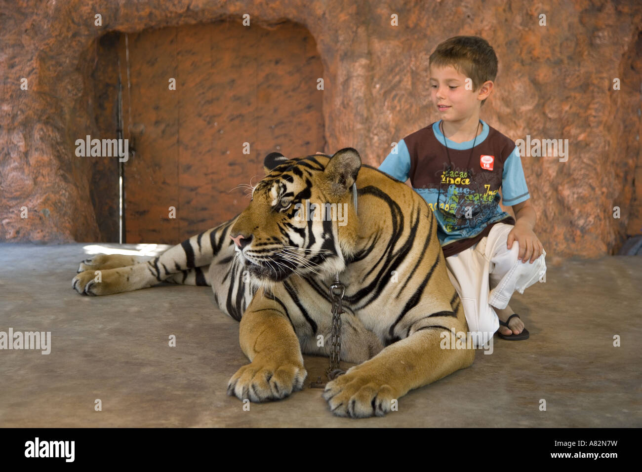 Child &Tiger Portrait at Thia Zoo Stock Photo - Alamy