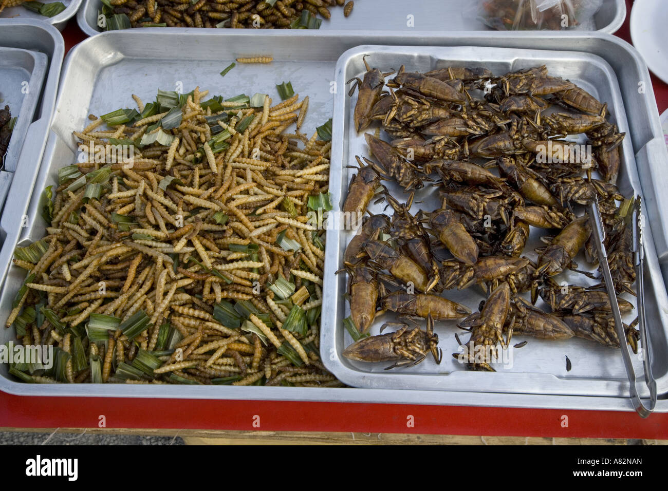 Cockroaches food hi-res stock photography and images - Alamy