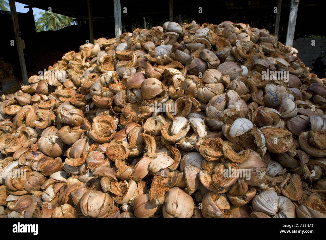 Coconut Husks & Shells Thialand Stock Photo - Alamy