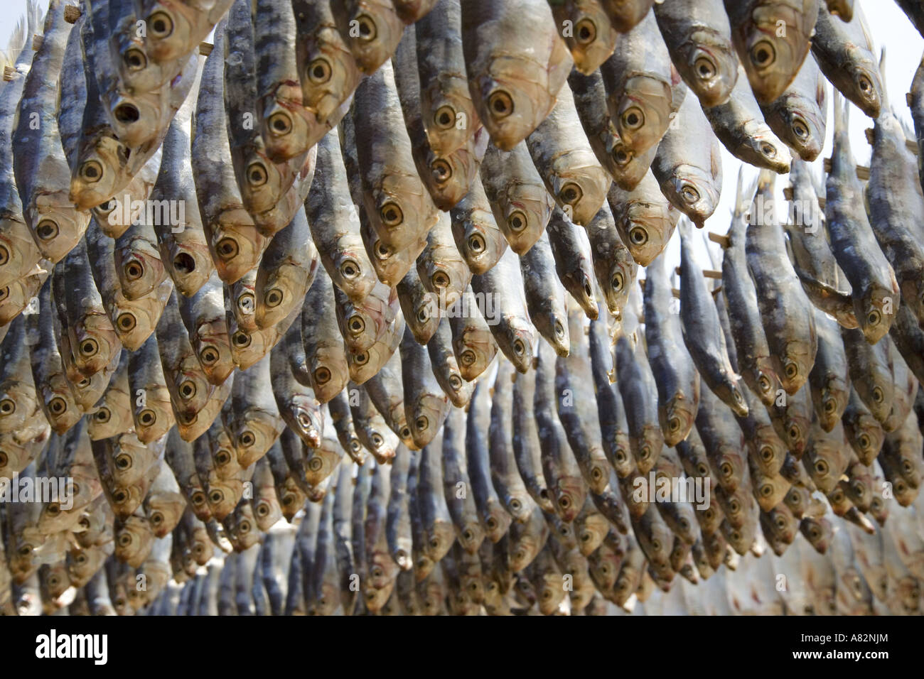 Fish drying patterns hi-res stock photography and images - Alamy