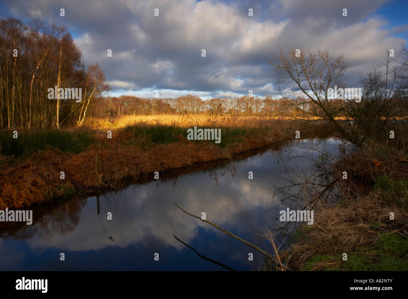 Alderfen Broad in the Norfolk Broads Stock Photo - Alamy