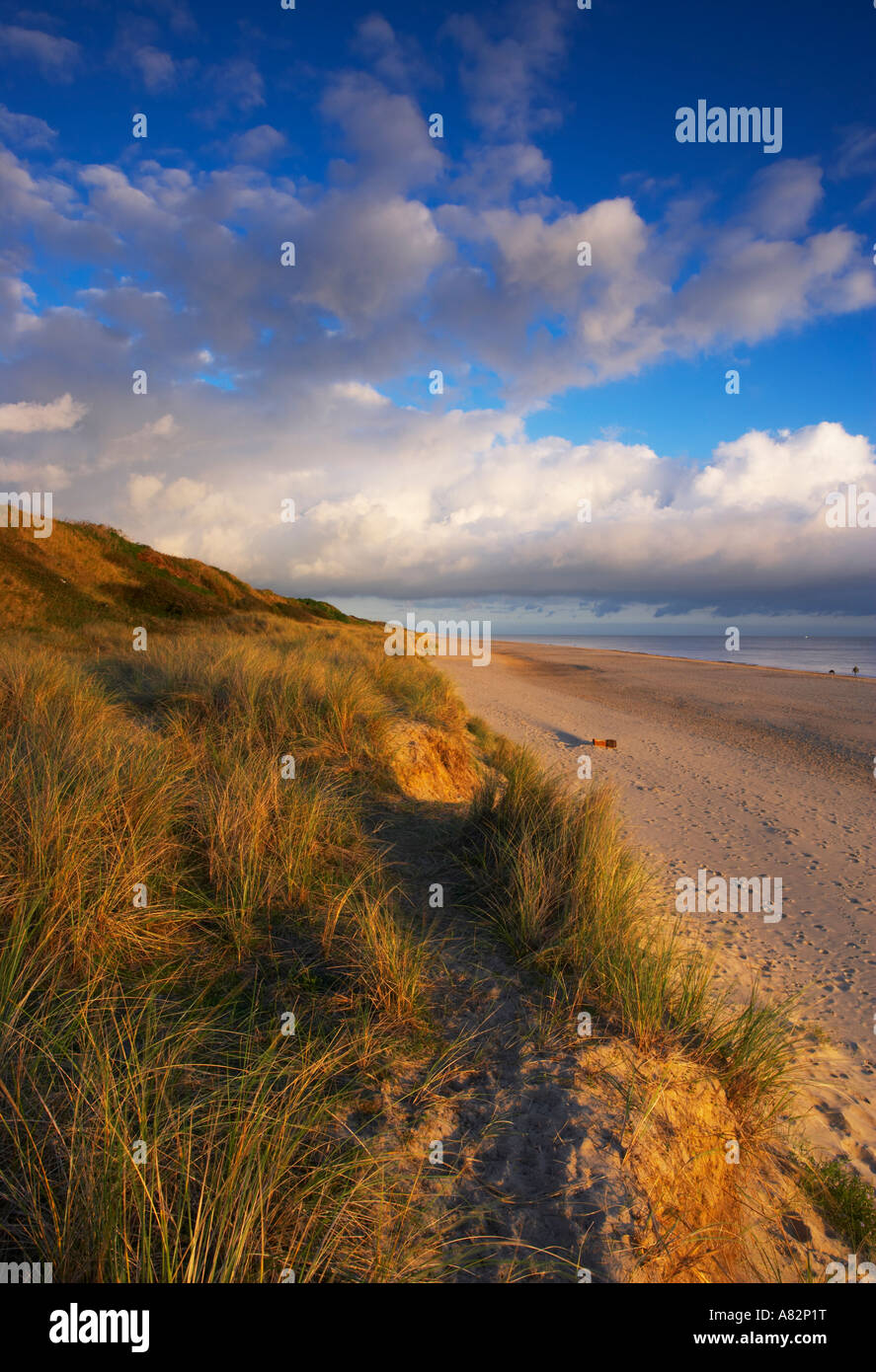 Scratby beach hi-res stock photography and images - Alamy
