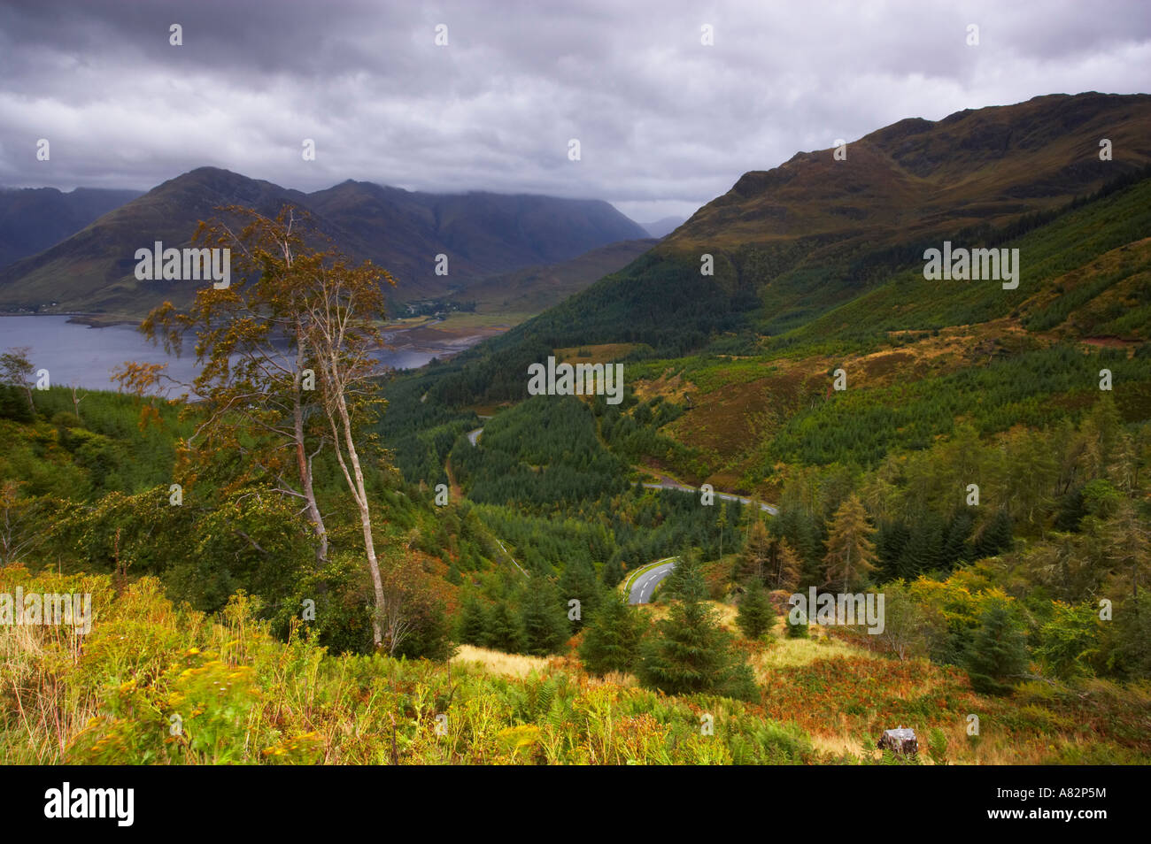 View from Mam Ratagan pass towards the Five Sisters of Kintail Stock ...