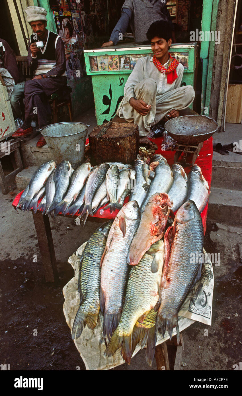 Pakistan South Punjab Bahawalpur Fish on sale in Shahi Bazaar Stock ...