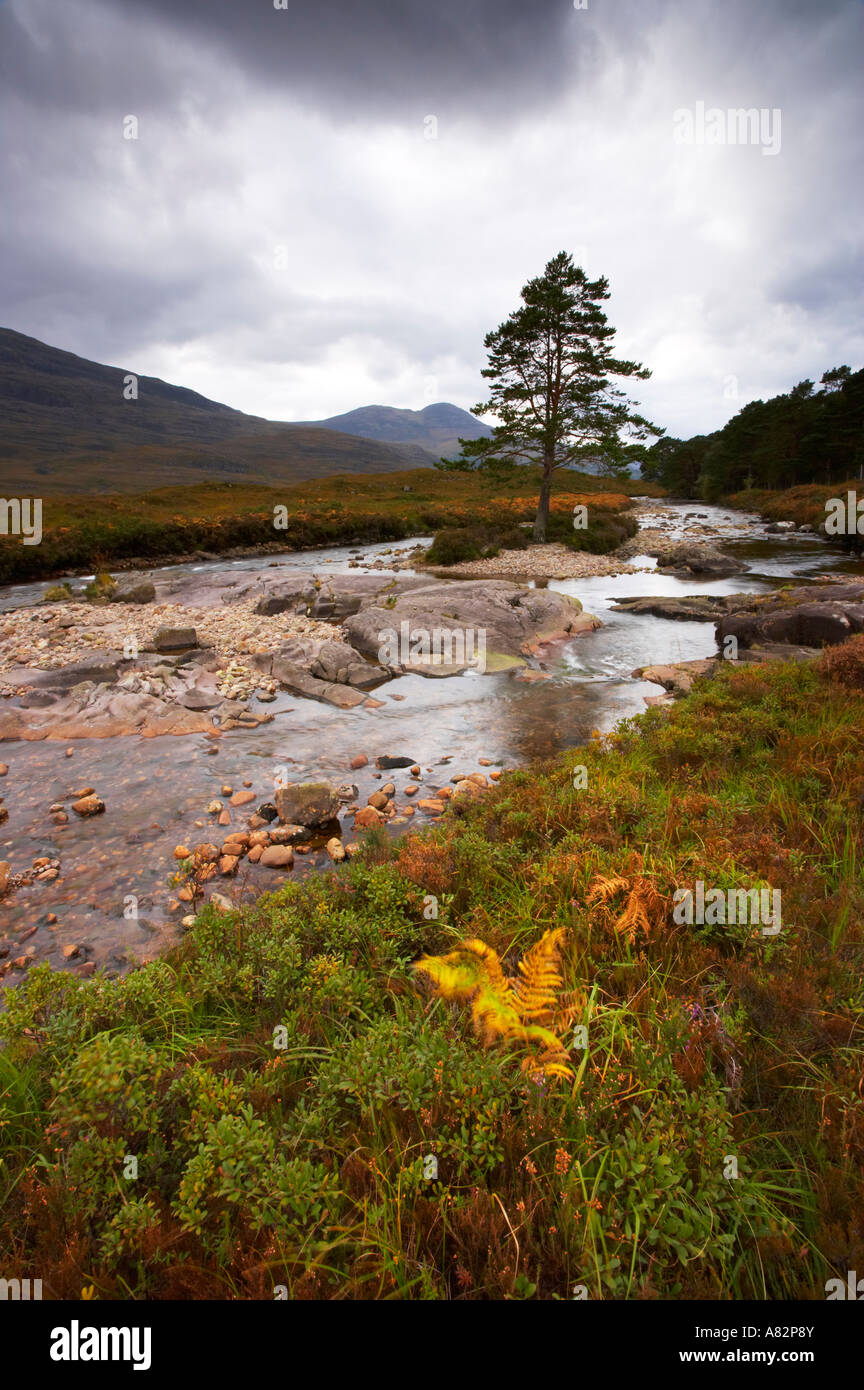 A scene from the Torridon area of the Scottish Highlands Stock Photo ...