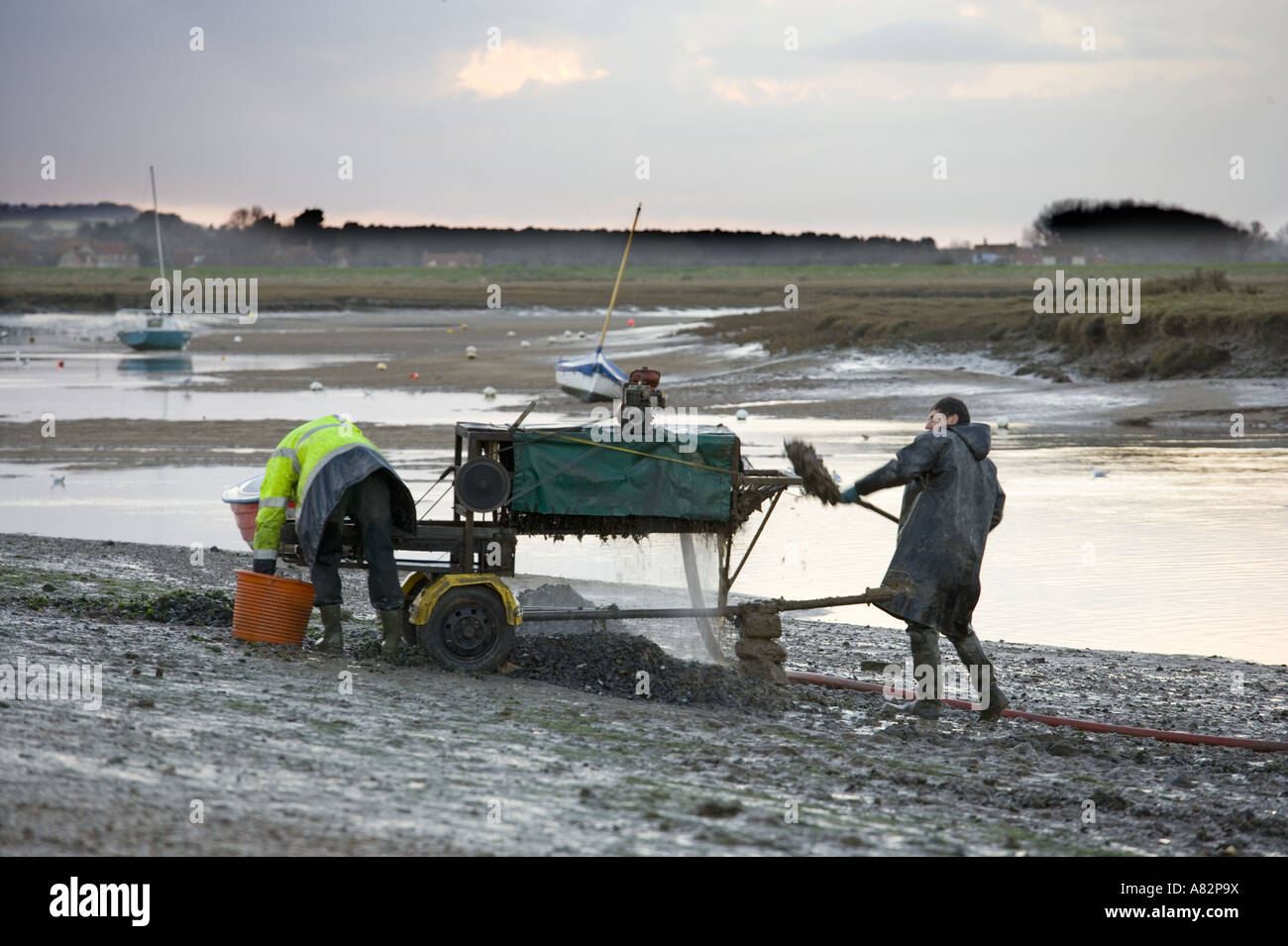Grading work hi-res stock photography and images - Alamy