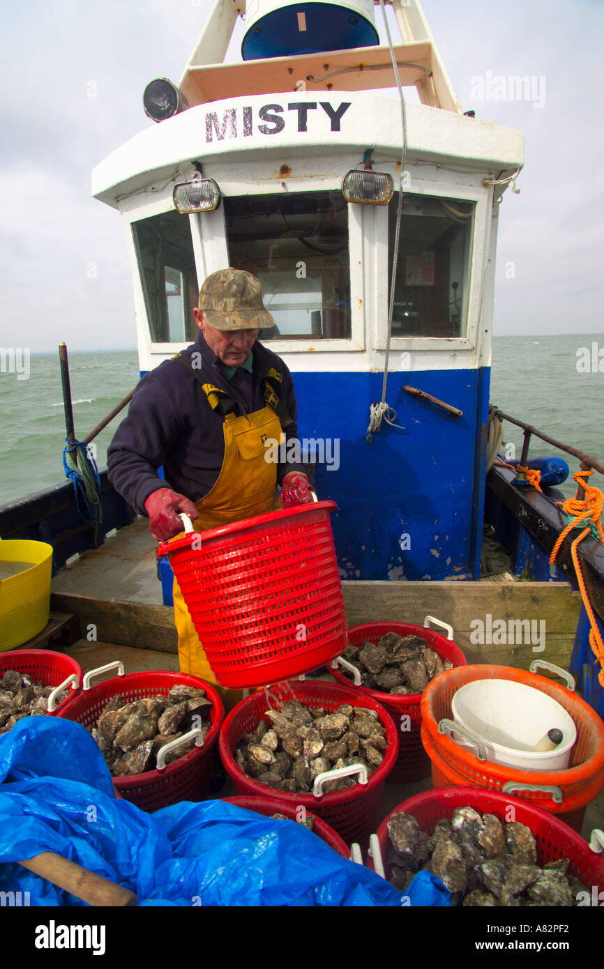Andy Riches on board the Oyster fishing boat The Misty Oyster fishing ...