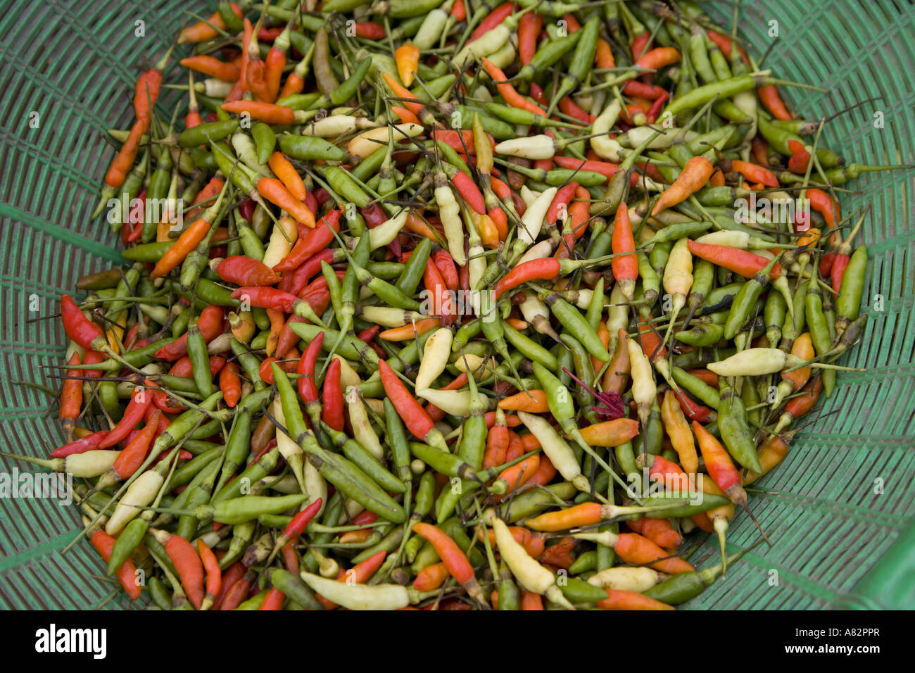 Red and Green Chillies Stock Photo - Alamy