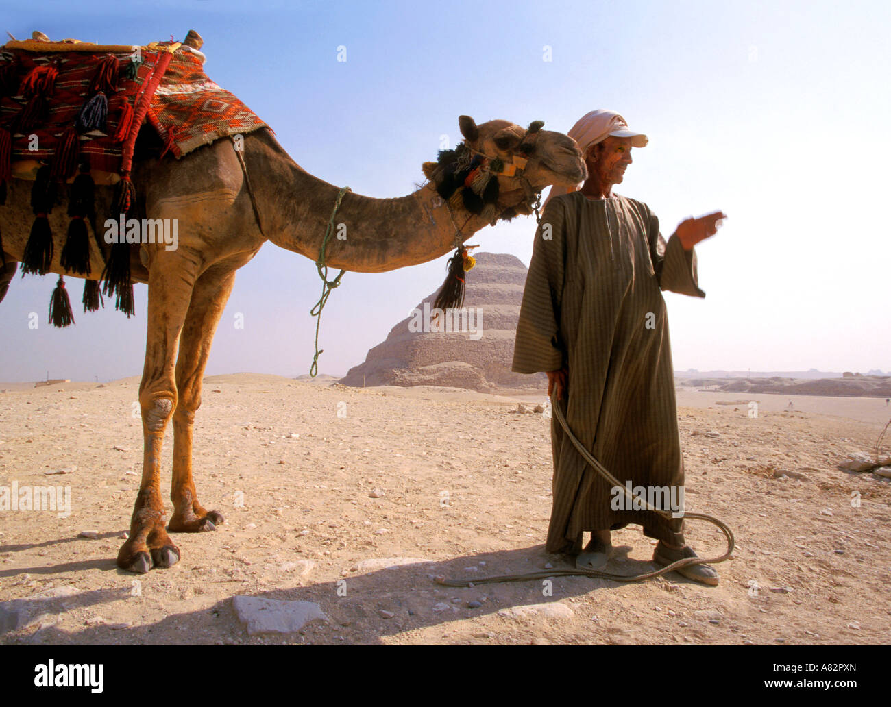 Camel and his owner by step pyramid Sakkarah Egypt Stock Photo - Alamy