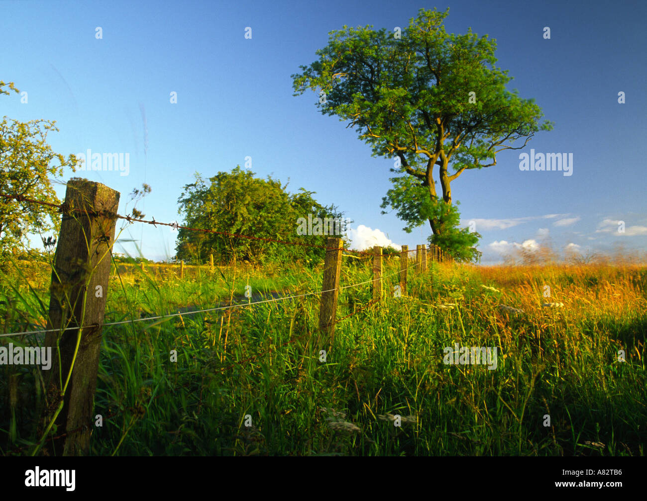 Gilston hi-res stock photography and images - Alamy