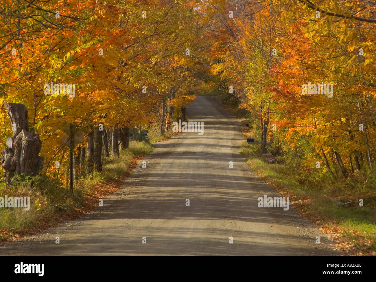 Fall foliage destinations in the usa vermont hi-res stock photography ...