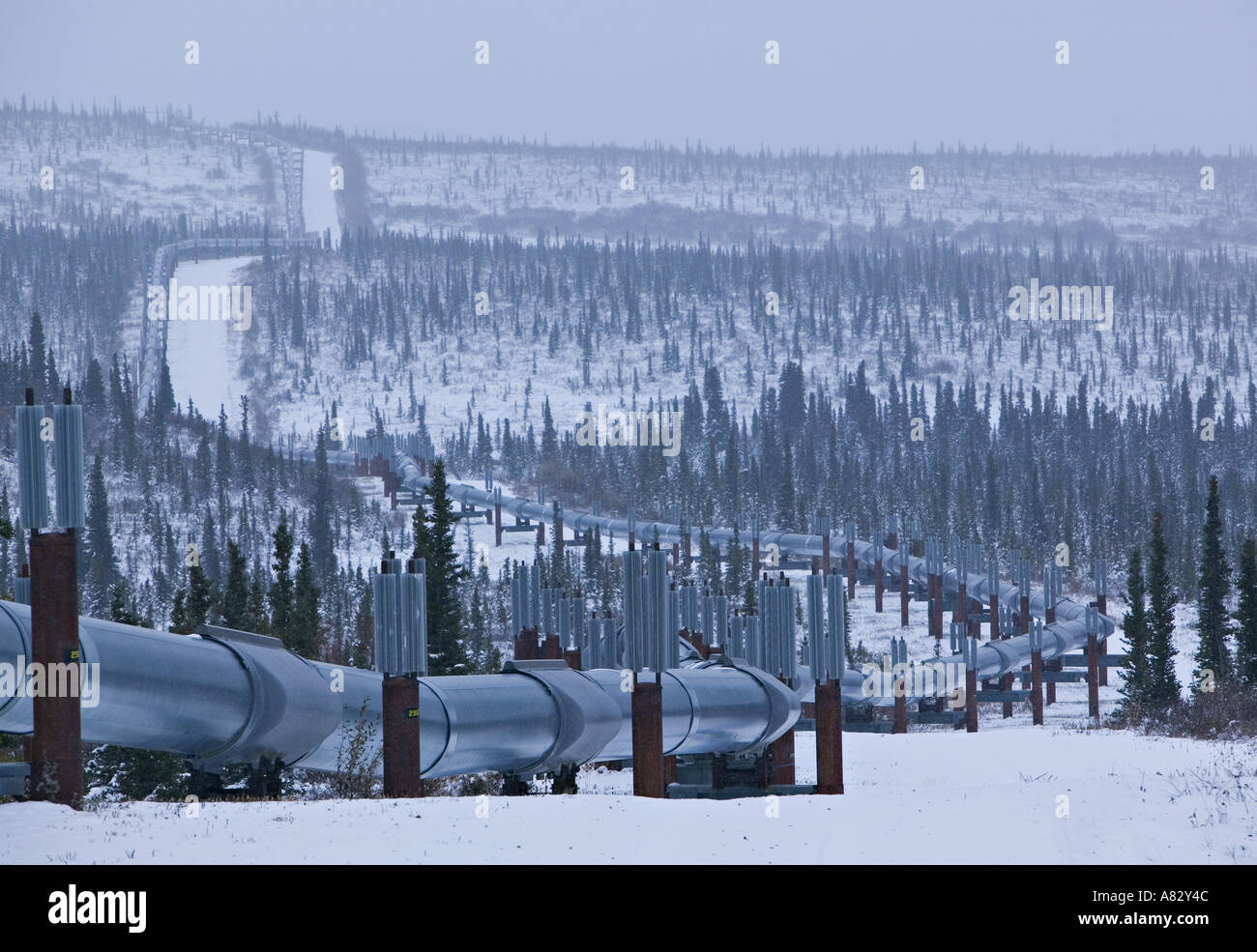 Alaskan pipeline trans alaska pipeline hi-res stock photography and ...