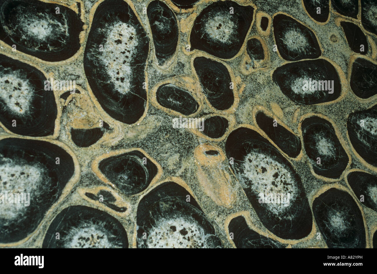 Black diorite hi-res stock photography and images - Alamy