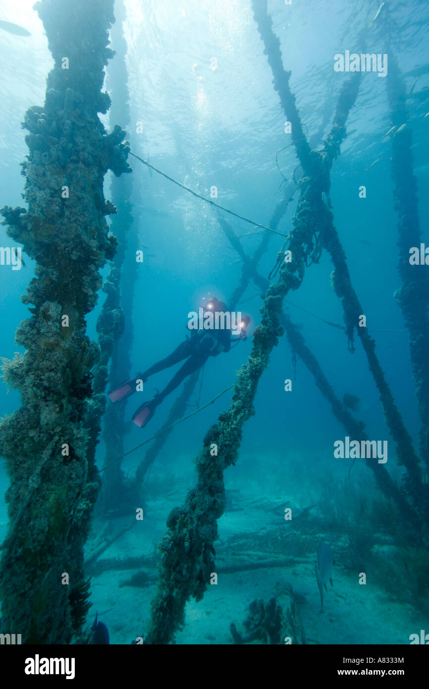 Underwater photographer under Hen and Chickens lighthouse support beams ...