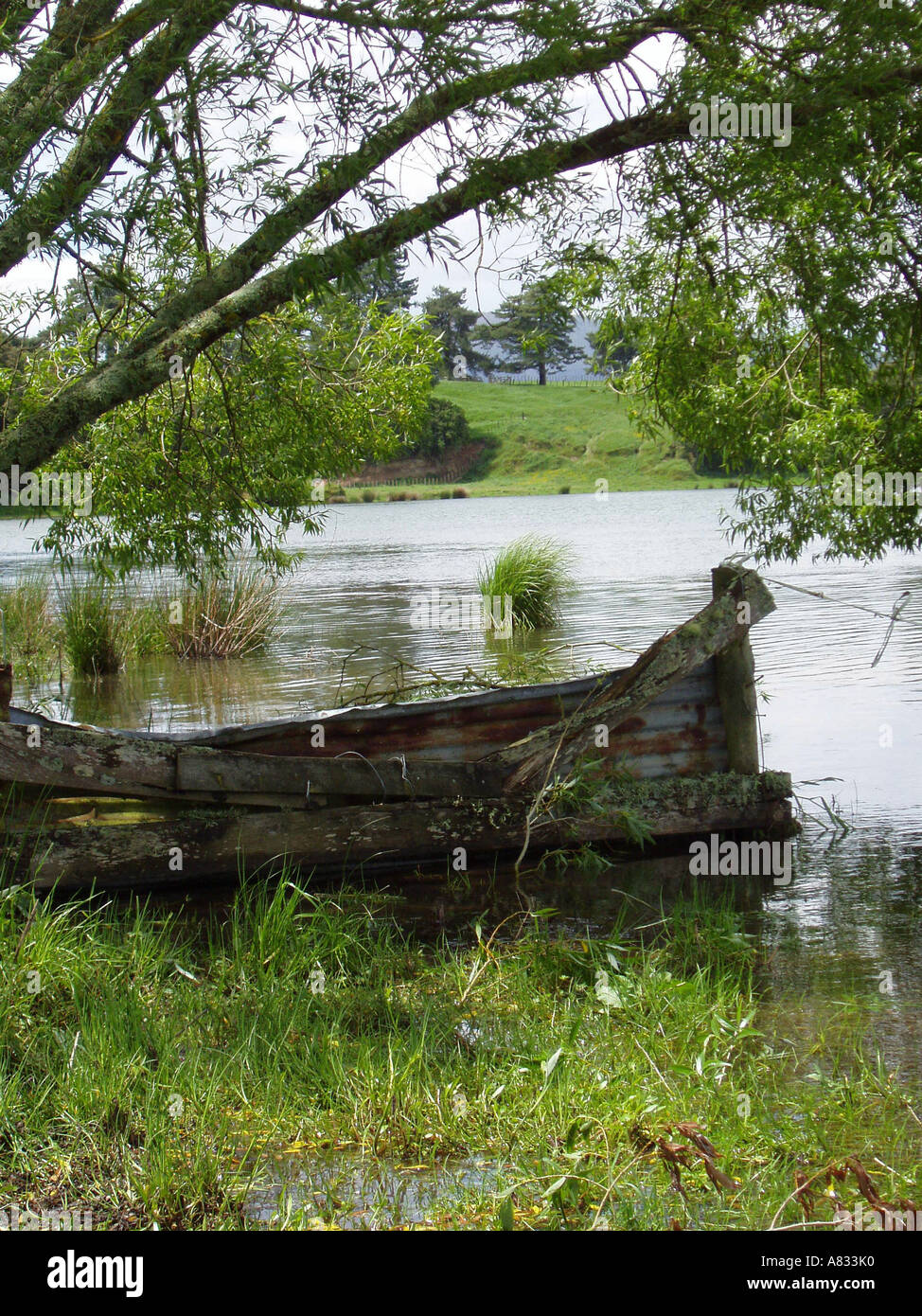 Lake Rotoma, New Zealand Stock Photo - Alamy