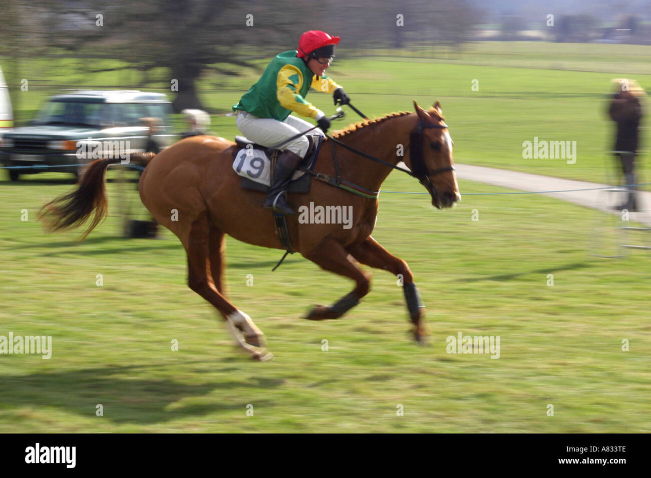 Racehorse and jockey galloping Stock Photo - Alamy
