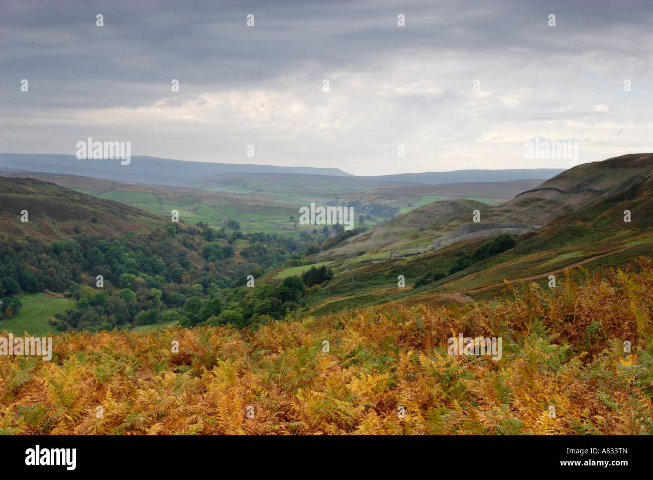 Autumn view of Swaledale, Yorkshire Dales National Park Stock Photo - Alamy