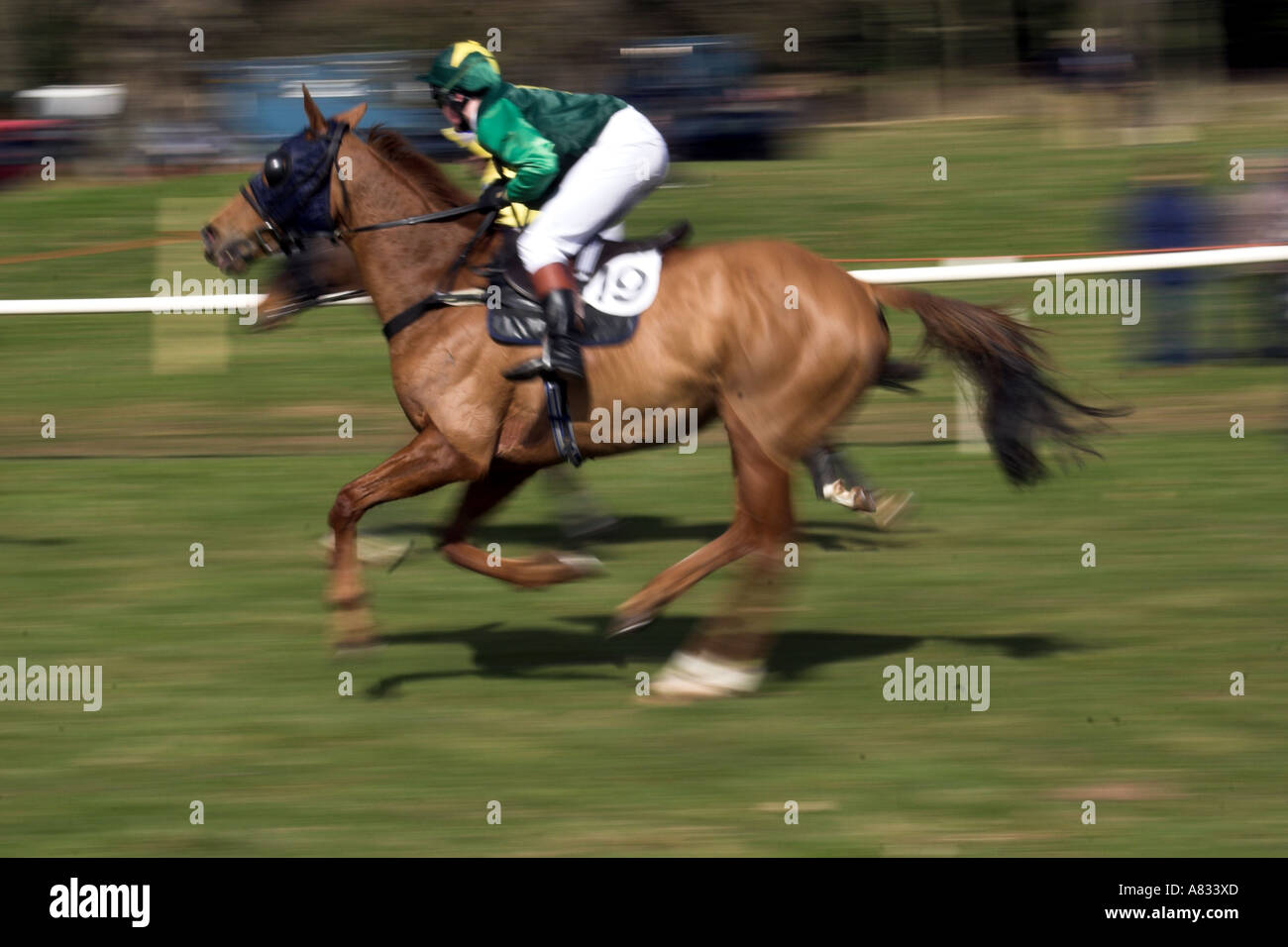 Point to point pony racing hi-res stock photography and images - Alamy