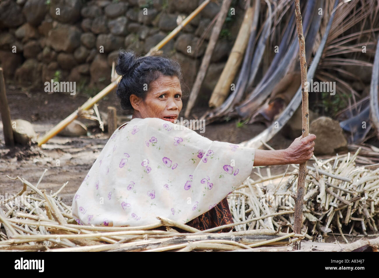 Seated firewood hi-res stock photography and images - Alamy