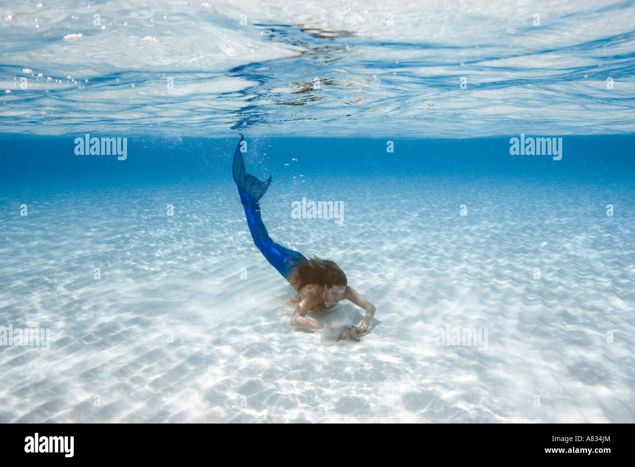 Mermaid with sea star underwater over shallow white sandy bottom ...