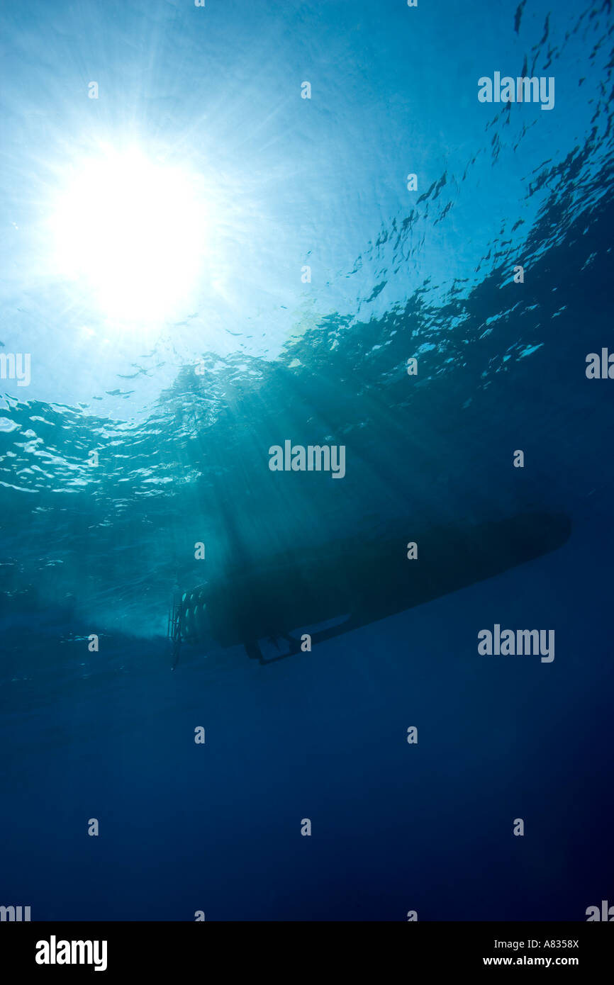 Scuba diver floating surface water hi-res stock photography and images ...
