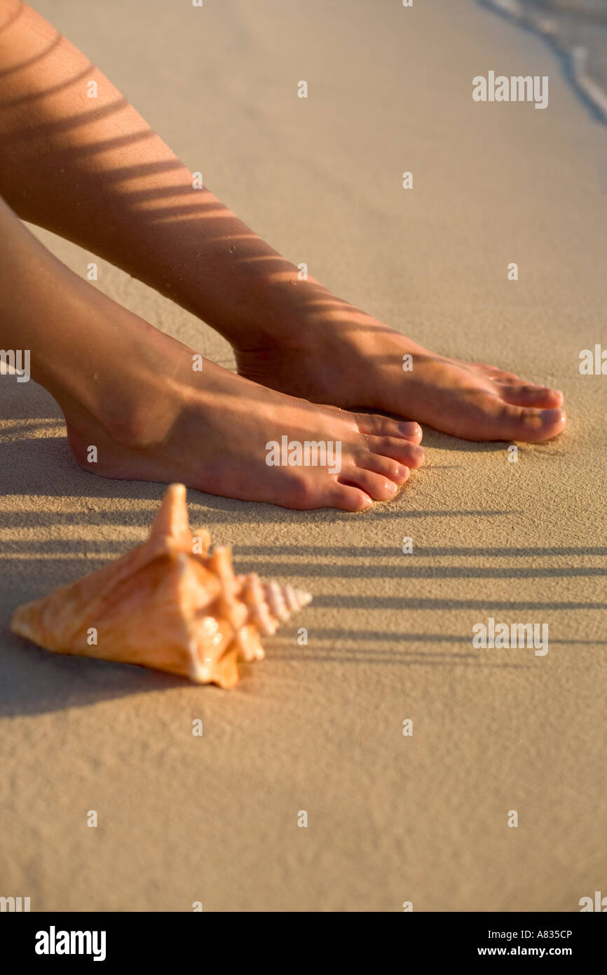 Woman feet conch shell conch hi-res stock photography and images - Alamy